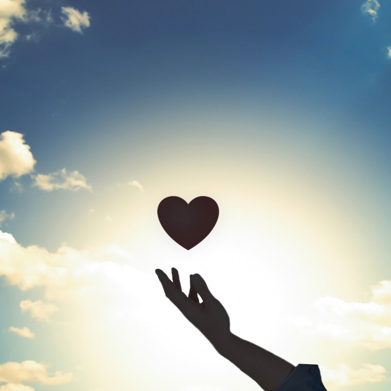 安静時冠血流比の違いについて少し深める【iFR, RFR, dPR,DFR】 | カテっ子臨床工学技士