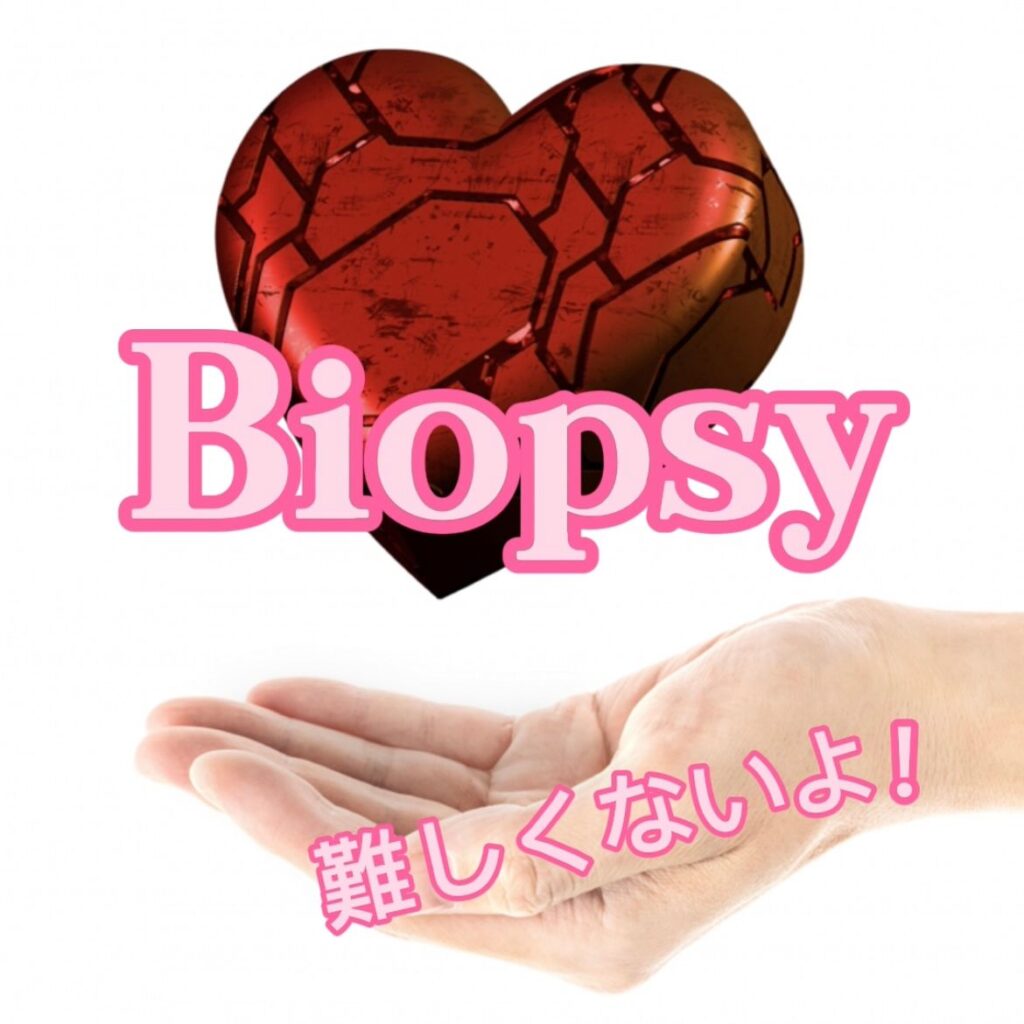 安静時冠血流比の違いについて少し深める【iFR, RFR, dPR,DFR】 | カテっ子臨床工学技士