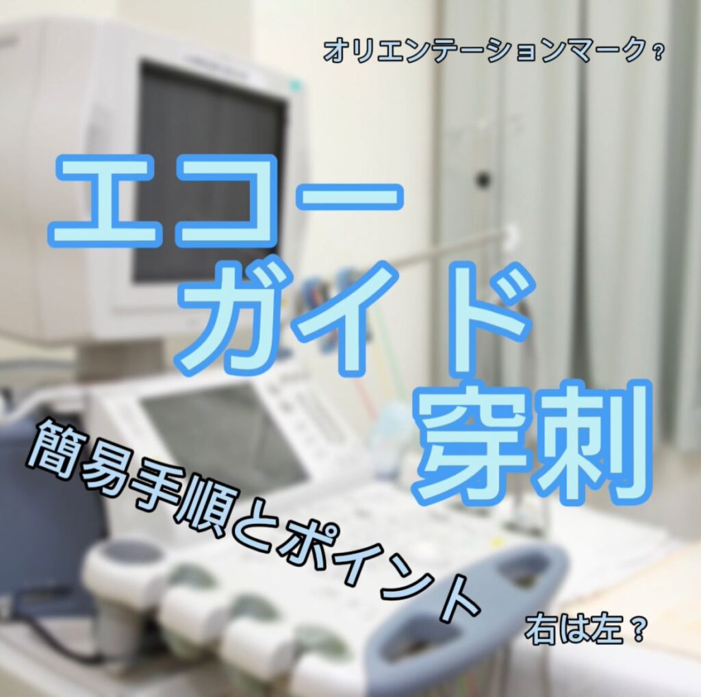”biopsy”心筋生検する心臓カテーテル検査 カテっ子臨床工学技士