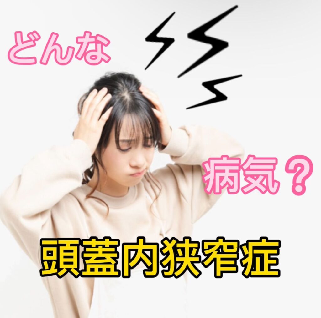 安静時冠血流比の違いについて少し深める【ifr Rfr Dprdfr】 カテっ子臨床工学技士